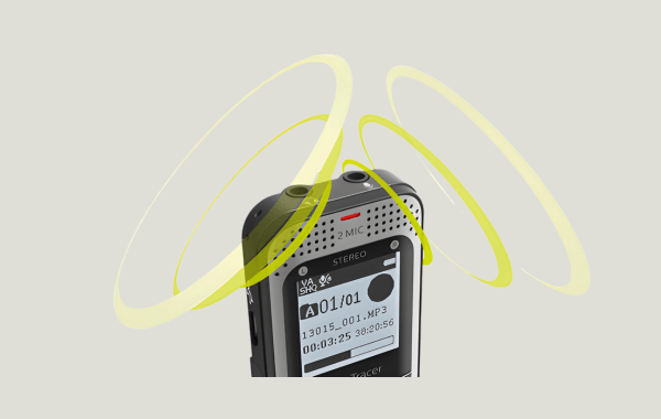 VoiceTracer Pro (Audio Recorder DVT2015) – shop.ceeco.in